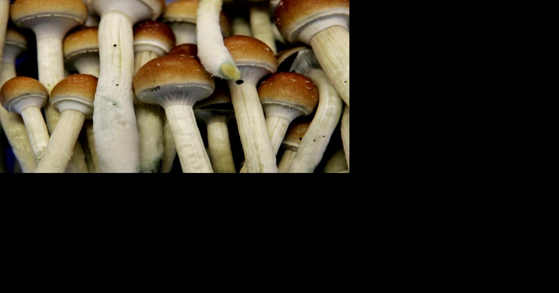 A Central Oregon county-by-county breakdown as psilocybin back on ...