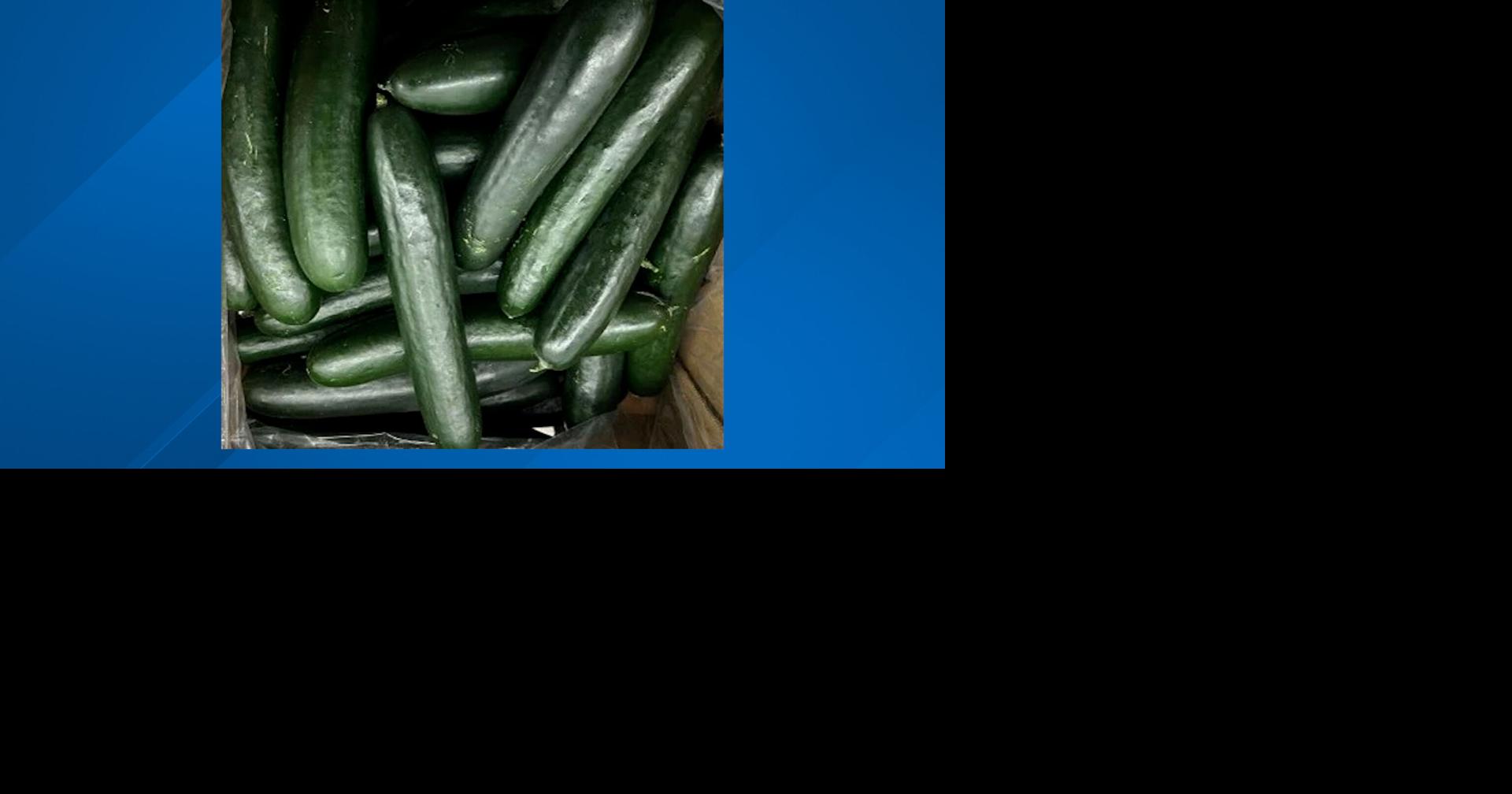 CDC Salmonella Outbreak: Cucumber Recall Affects 19 States | Consumer ...