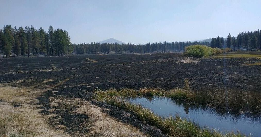 Copperfield Fire grows slightly while containment increases to 43% ...