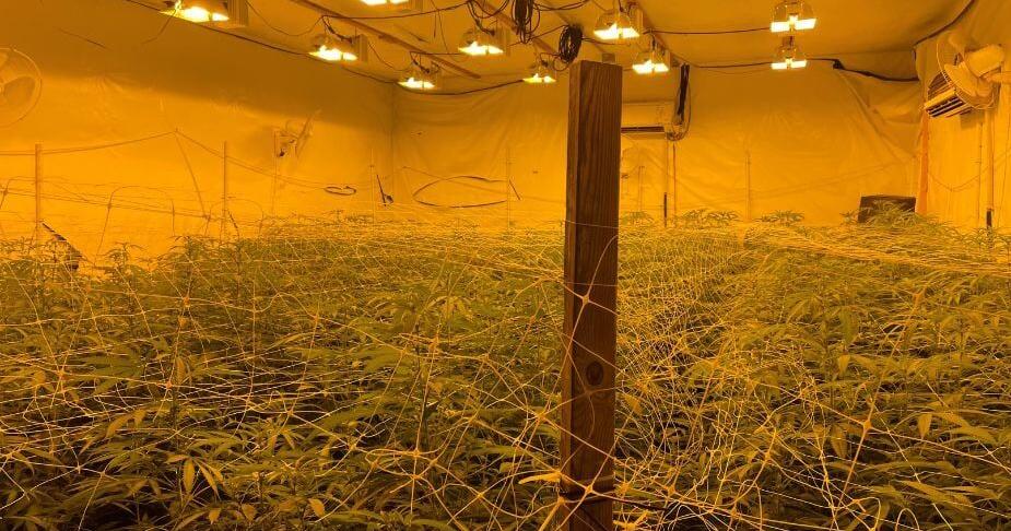 DCSO: 2 Redmond men arrested for marijuana grow op | | centraloregondaily.com