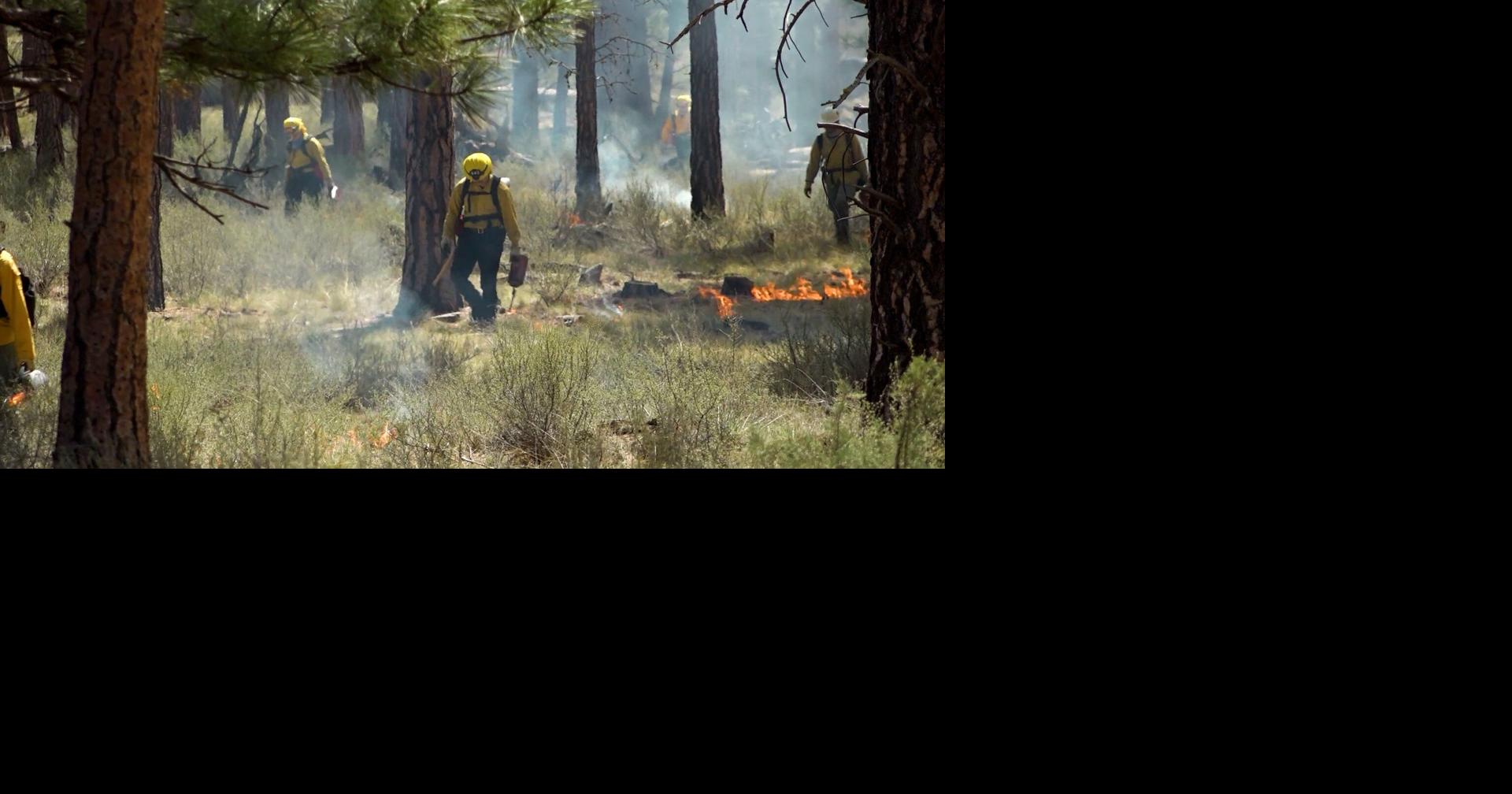 Bend prescribed burn pilot program a 'success,' agencies say | Local ...