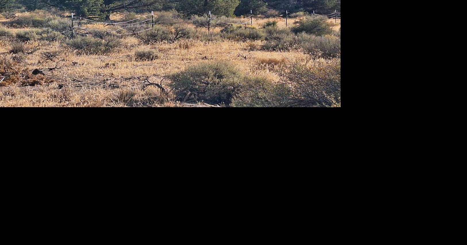 1 mile of fence separating public, private lands near Redmond ...