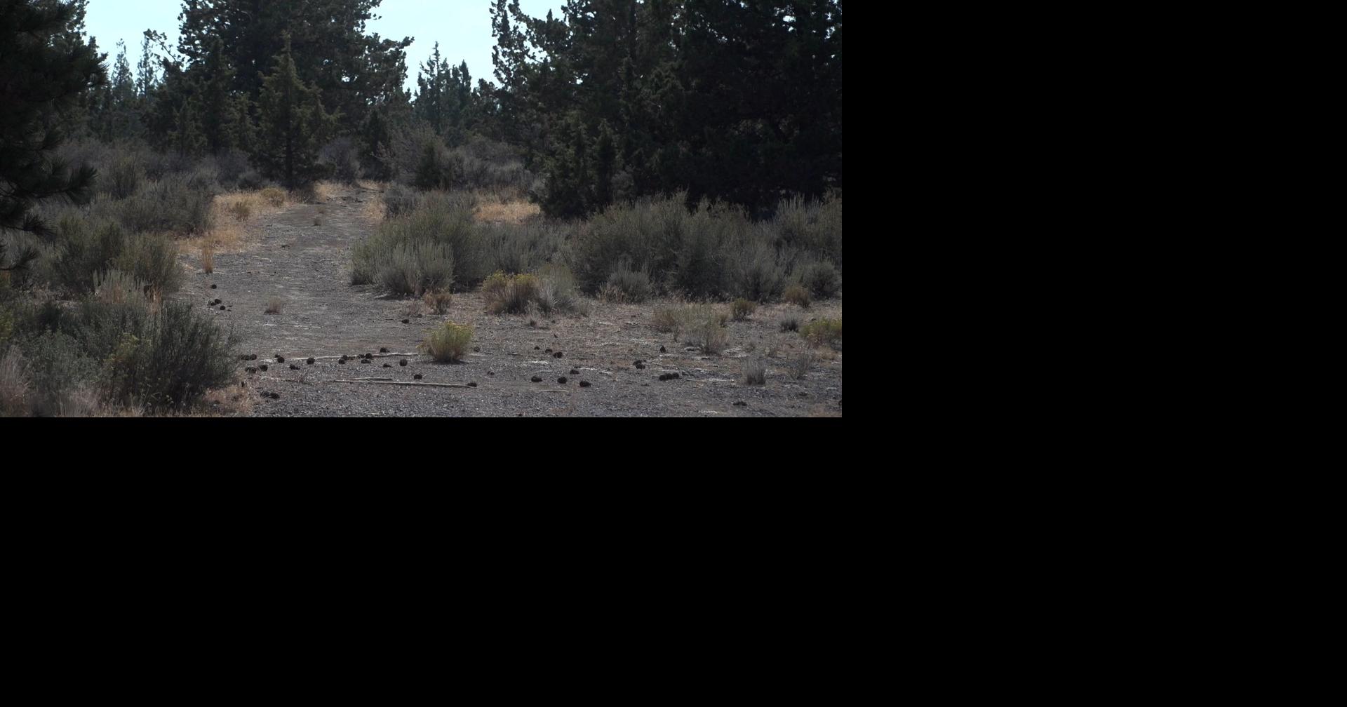 Conceptual plan for Stevens Road Tract in SE Bend approved by state ...