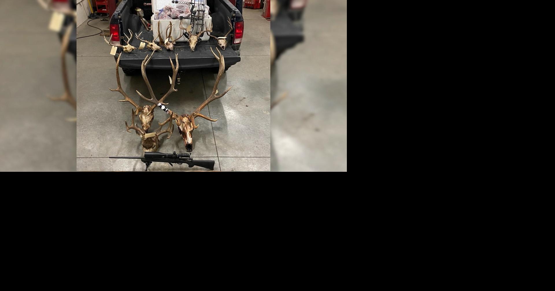 Oregon man will do jail time during elk hunting season for poaching ...