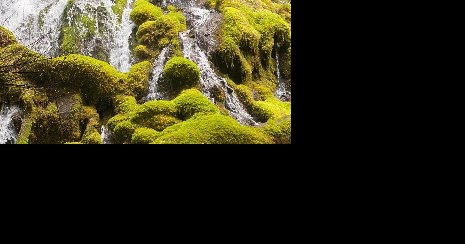 Oregon Cascades aquifer can hold water 3-times Lake Mead | Oregon ...