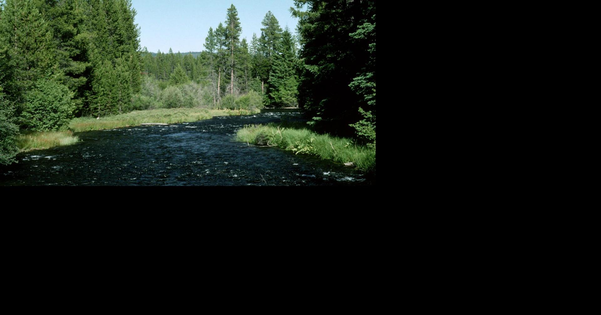 Forest Service offers digital Annual Northwest Forest Pass | Local News ...