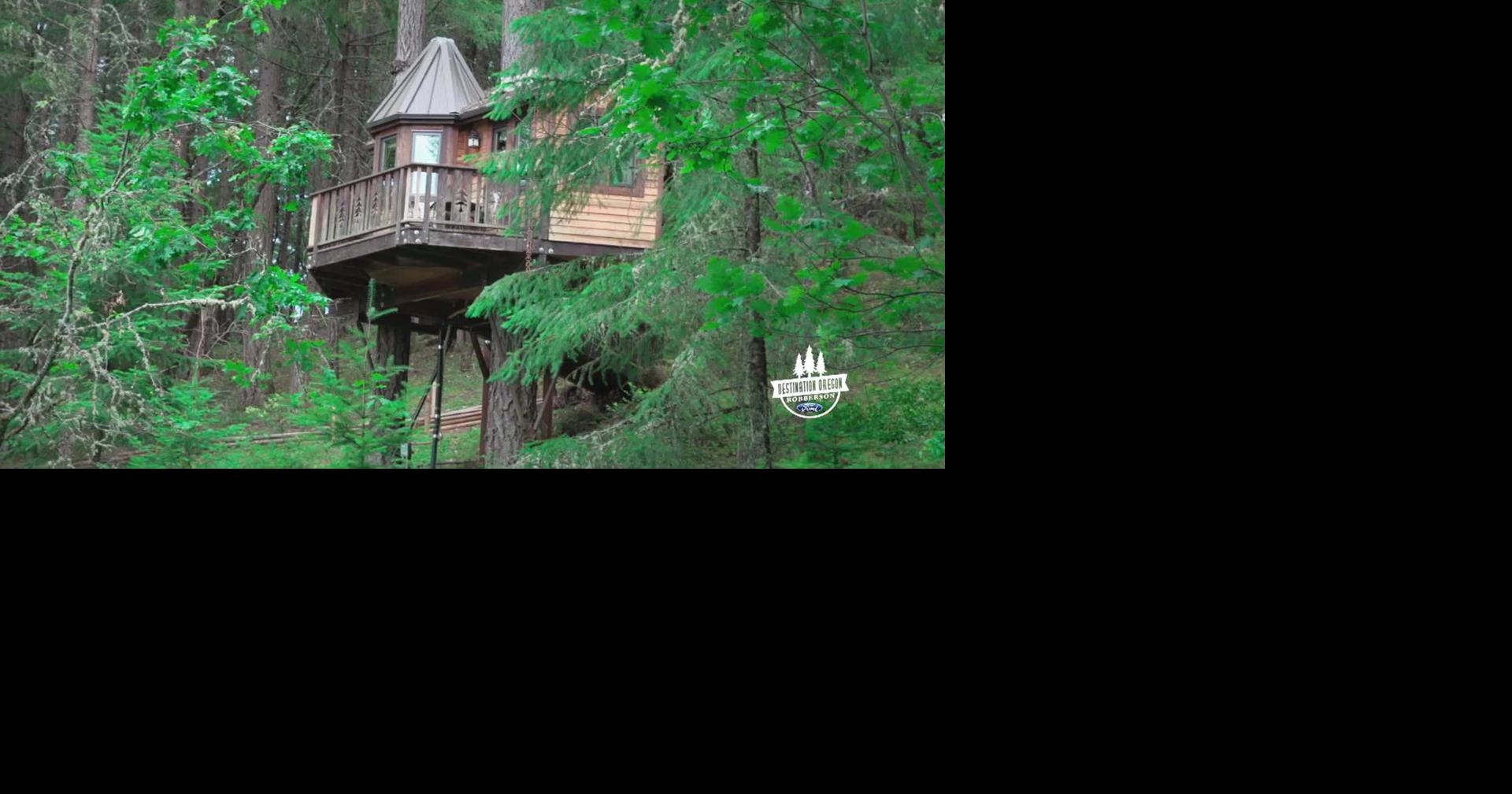 Vertical Horizons Treehouse Paradise