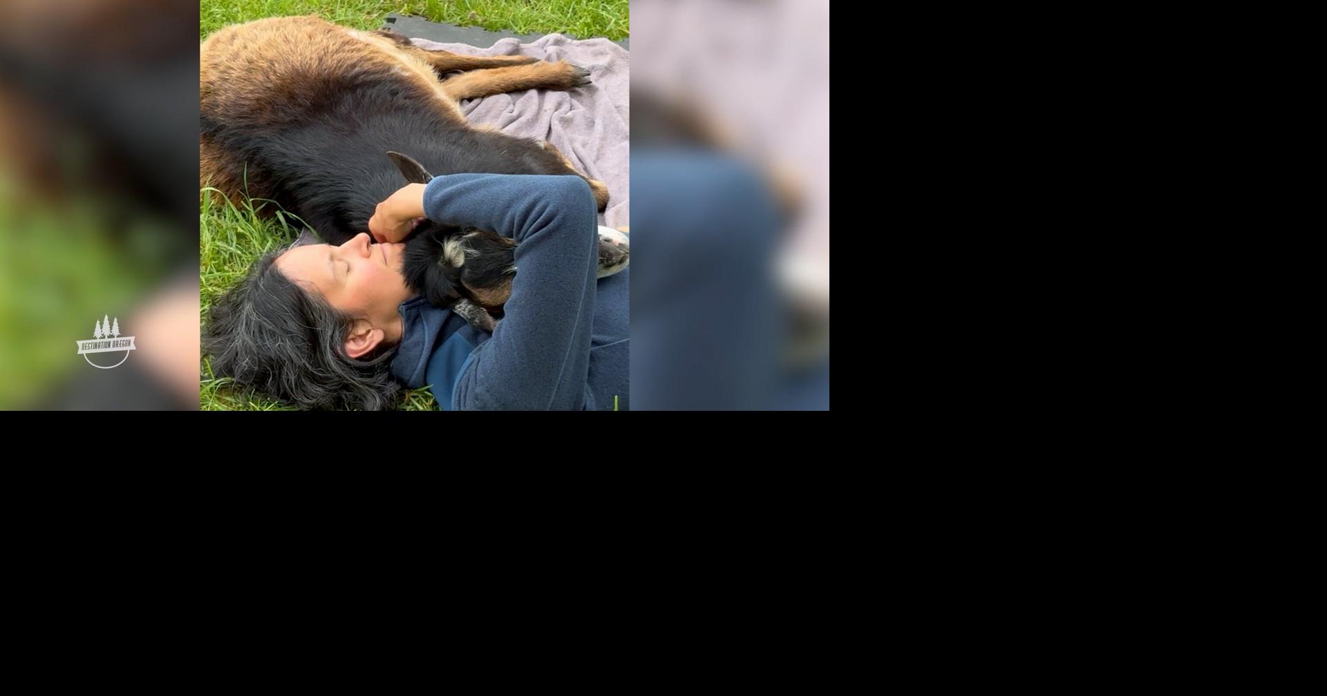 Goat yoga in Oregon: Fitness with rescued goats | Destination Oregon ...