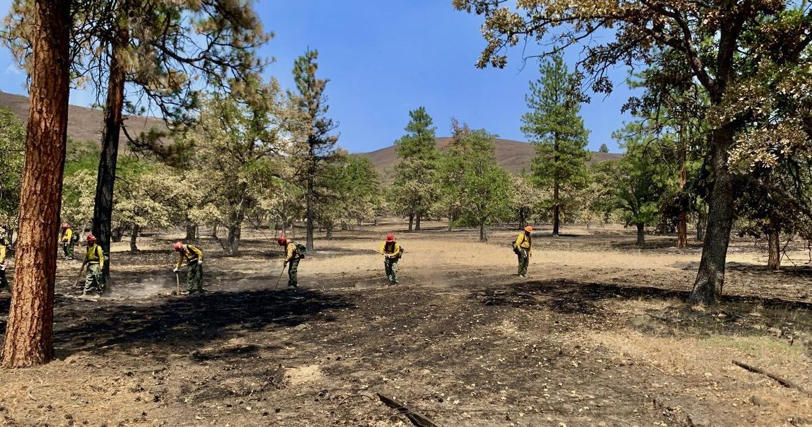 Mop up progresses on Larch Creek Fire; 81% contained | Oregon ...