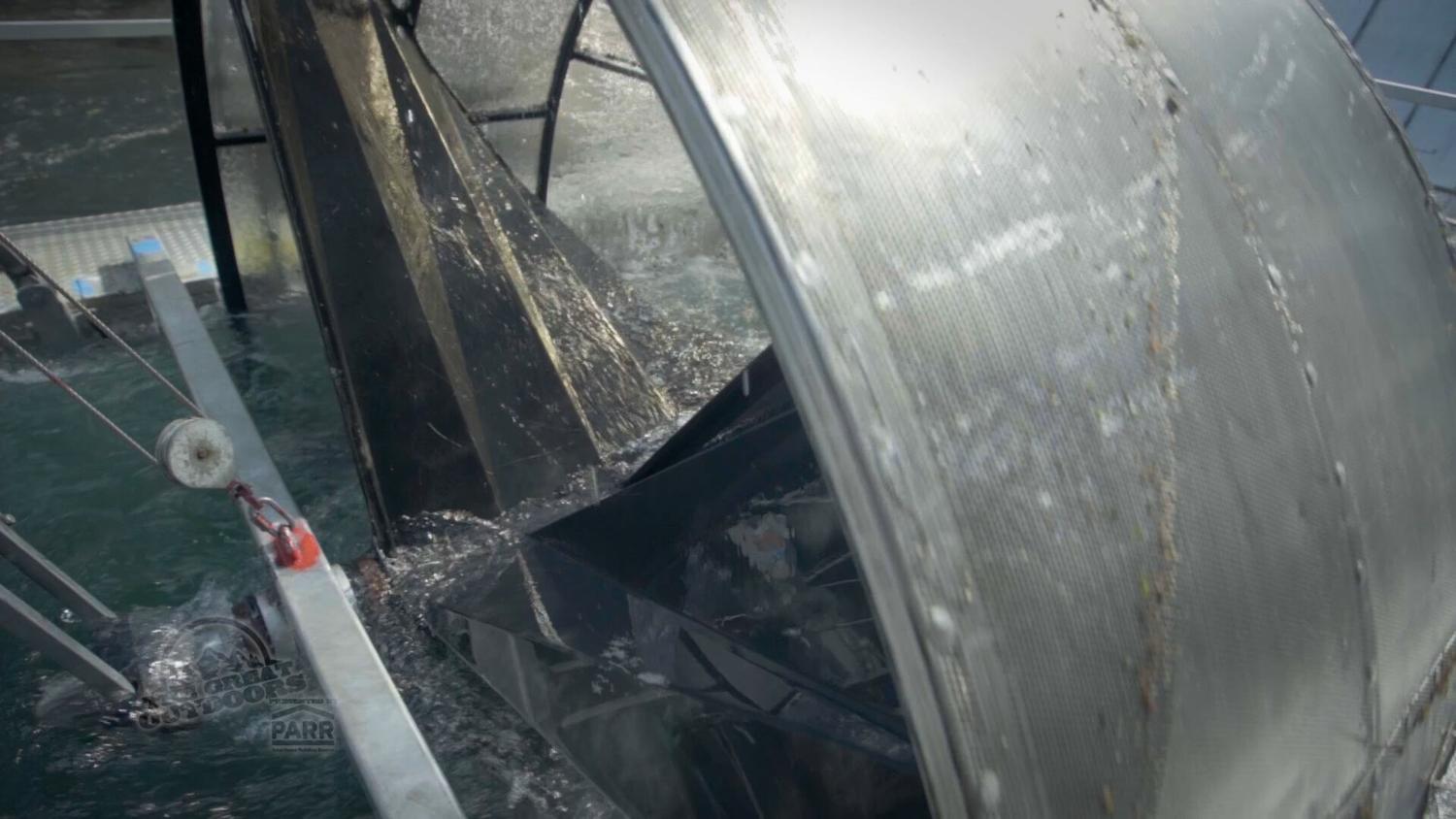 Metolius River rotary fish trap helping chinook restoration | The Great ...