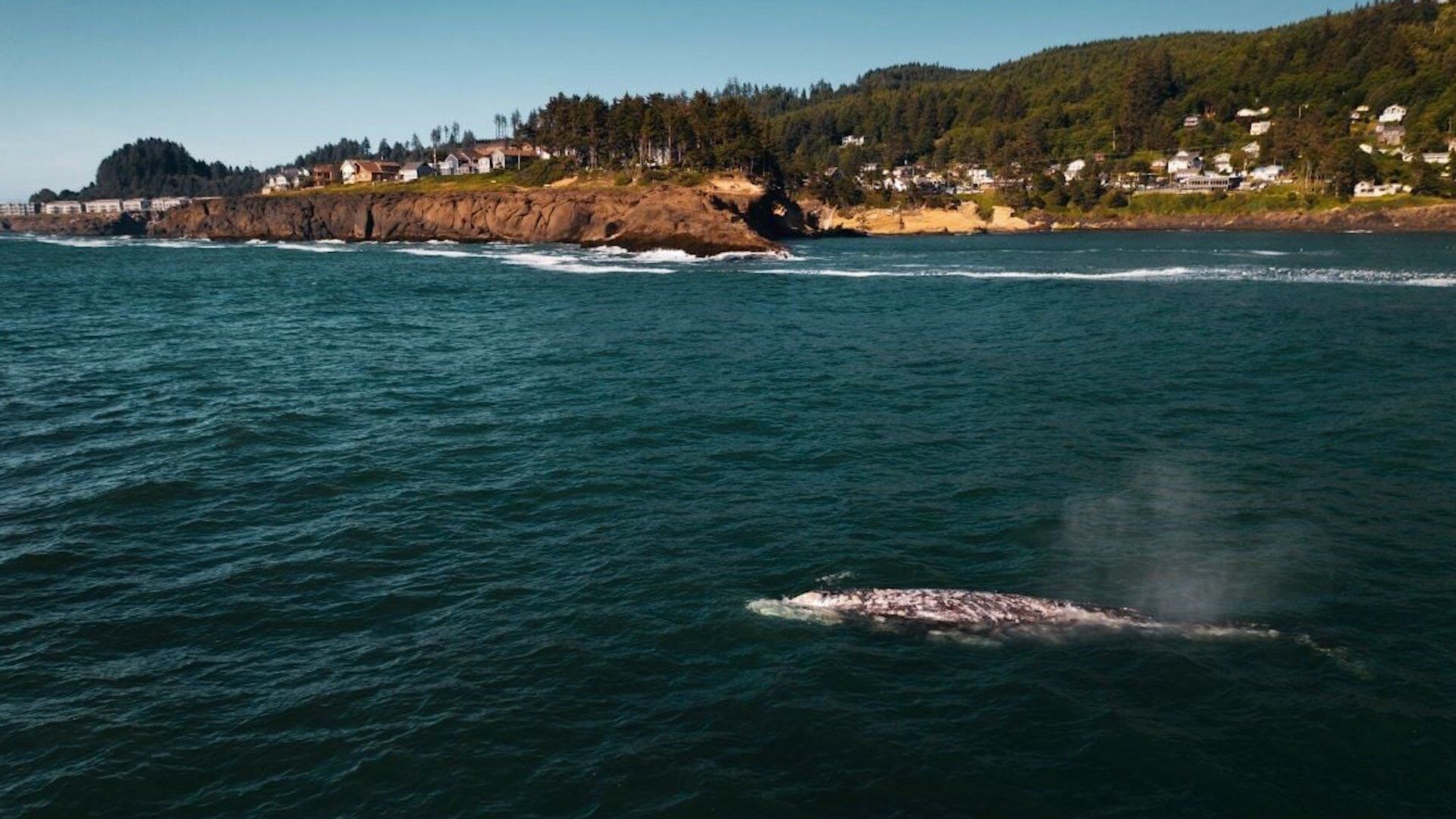 Oregon / Northwest | centraloregondaily.com