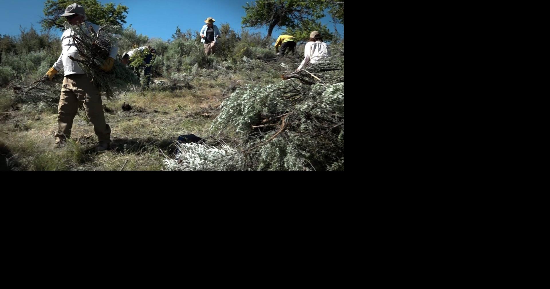 Historic apple orchard revived in Central Oregon | The Great Outdoors ...