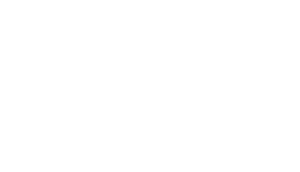 40 rescued poodles up for adoption in Bend | Local News ...