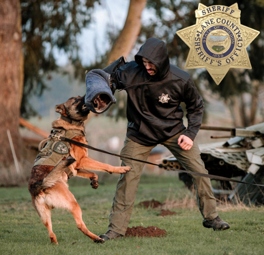 Cottage Grove man faces strangulation, assault charges after being ...