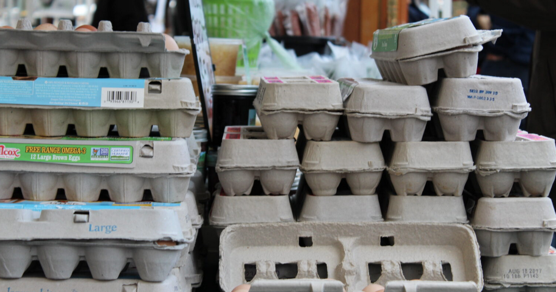 Oregon SNAP benefits to be fully funded for November, Gov. Kotek says ...