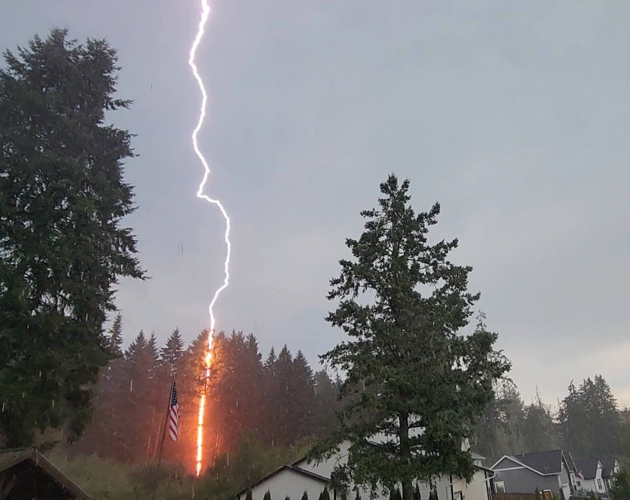 lightning strike tree