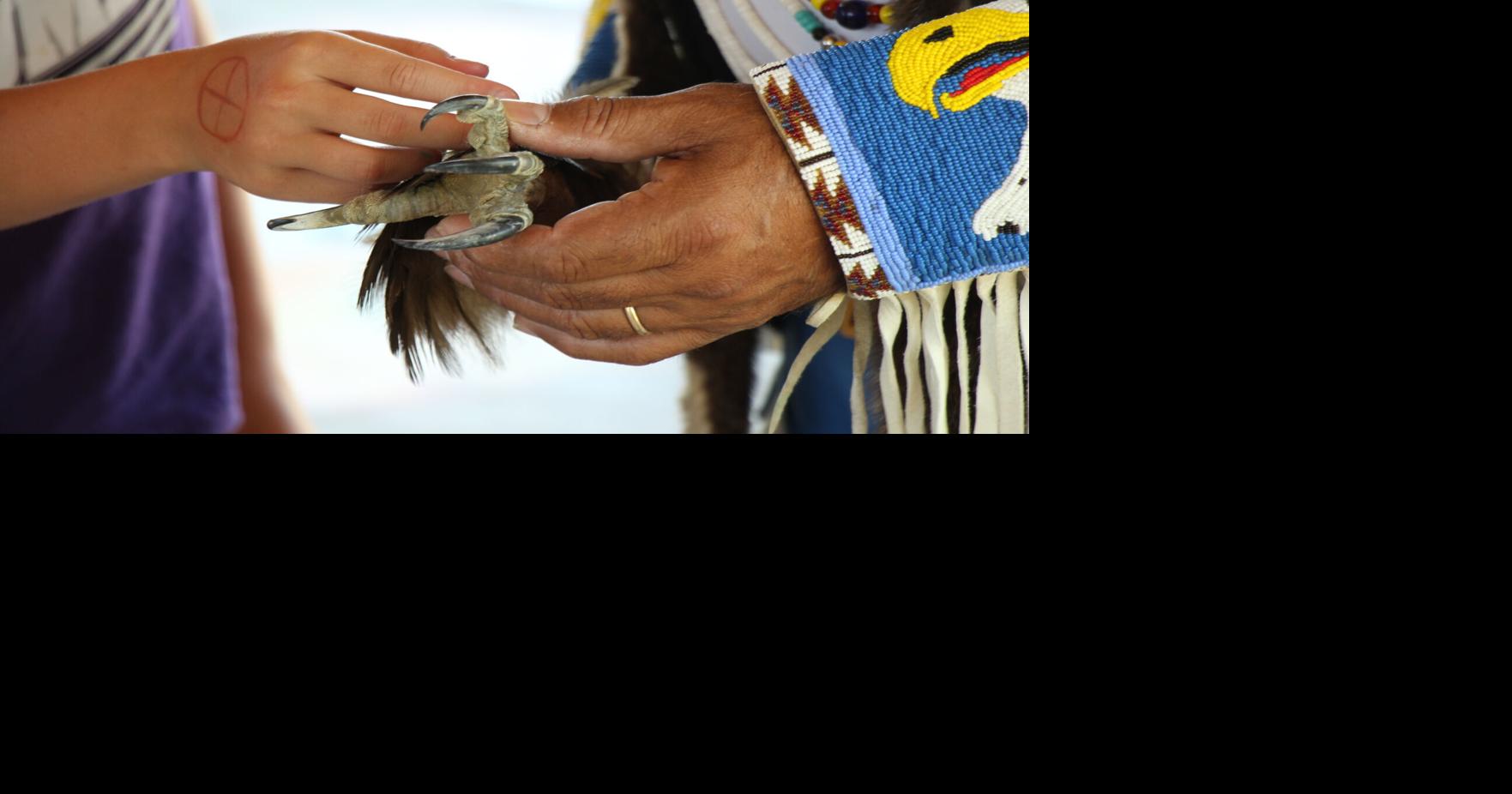 Acorn Circle Program | Community | cgsentinel.com