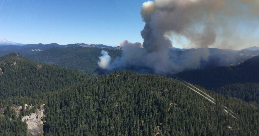 Judge dismisses $33 million timber lawsuit against U.S. Forest Service ...