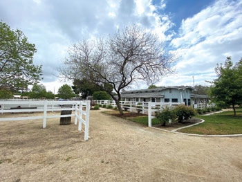 Outreach to begin for McCoy Equestrian Center | News ...