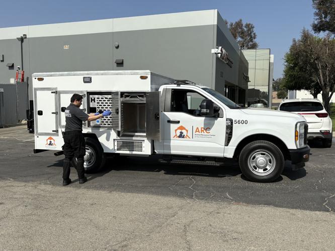 ARC brings animals onboard this week | Community News ...