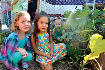 Garden sprouts up at Rolling Ridge Elementary | News ...