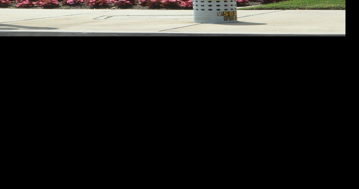 District 2 election to bring new face to Chino City Council ...