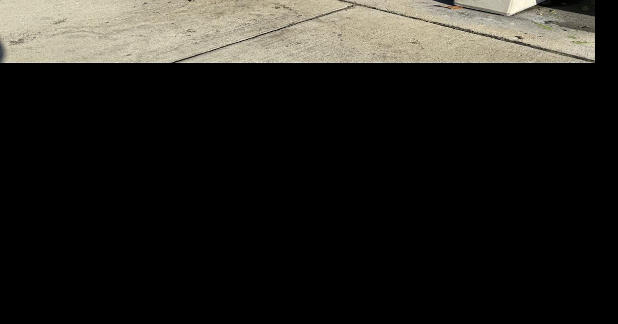 Last of COVID money going to SWAG for homeless | Community News ...