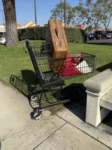 Last of COVID money going to SWAG for homeless | Community News ...