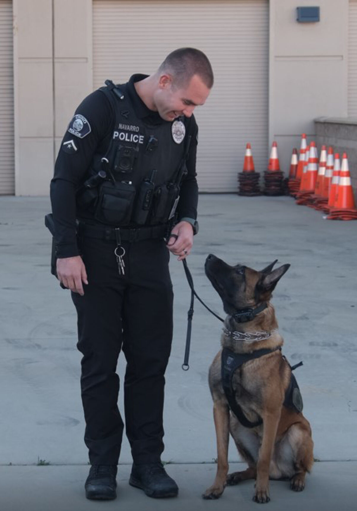 “Firm but fair” with new Chino Police Department dog Vino | Community ...
