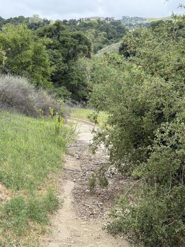 Vellano Golf Course purchased for $17M | Community News ...