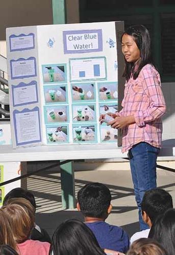 Science fair needs volunteer judges | Entertainment/Things to Do ...