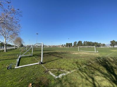 New grass for soccer fields at Ayala Park in Chino | News ...