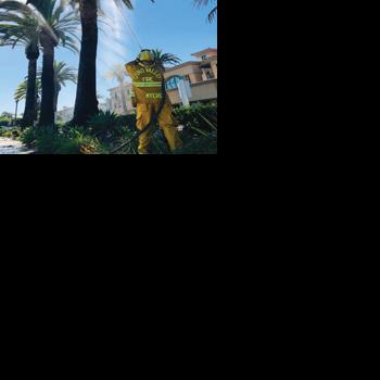 Grass fire spreads to Kaiser building, palm trees on Central Avenue ...