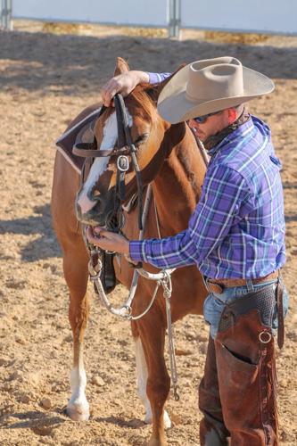 A Cut Above: Champion Bubba Matlock: $1 Million Dollar Rider | Features ...