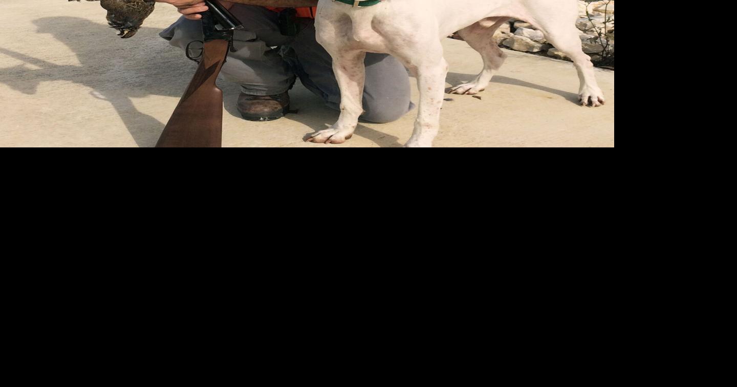 Exploring A Day In The Life of a TPWD Wildlife Biologist | Features ...