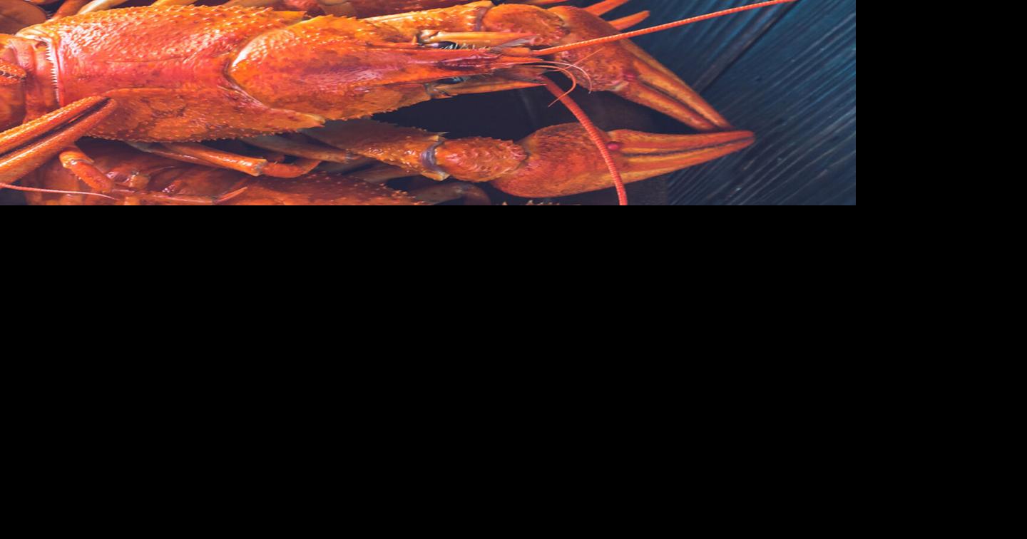 Crawfish Gravy | Food & Drink | charmeasttexas.com