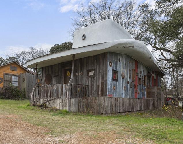 The Phoenix Connection: Changing Lives Through Creativity | Features ...