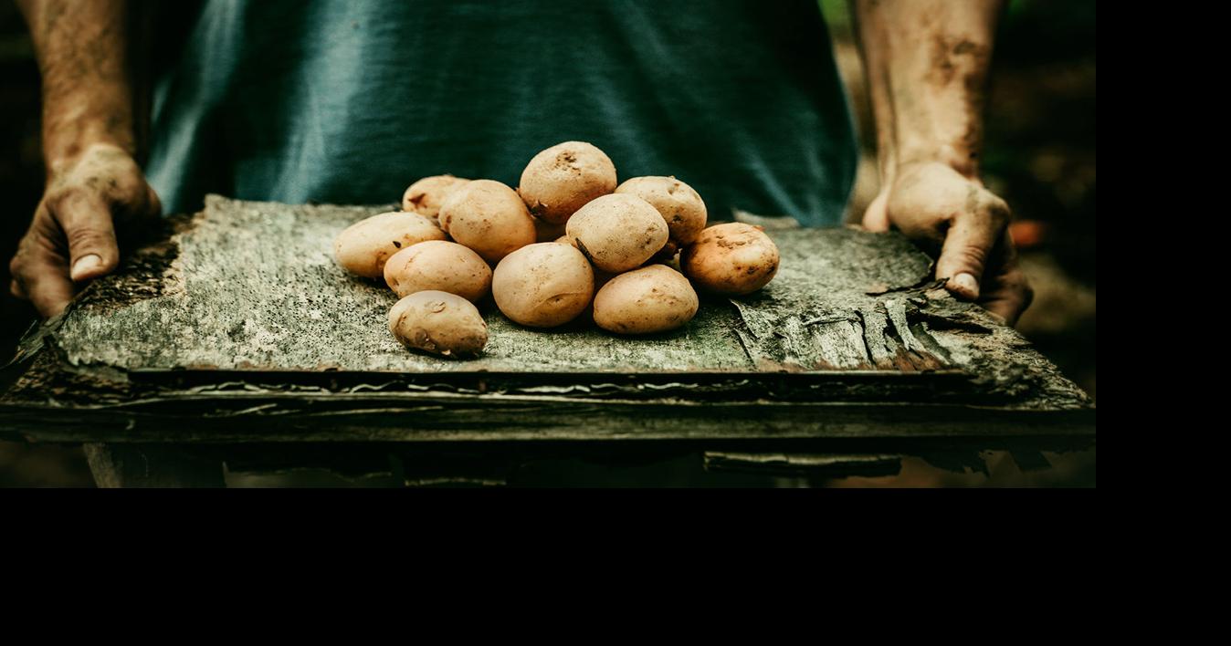 Gardening Tips: Potatoes | Food & Drink | charmeasttexas.com
