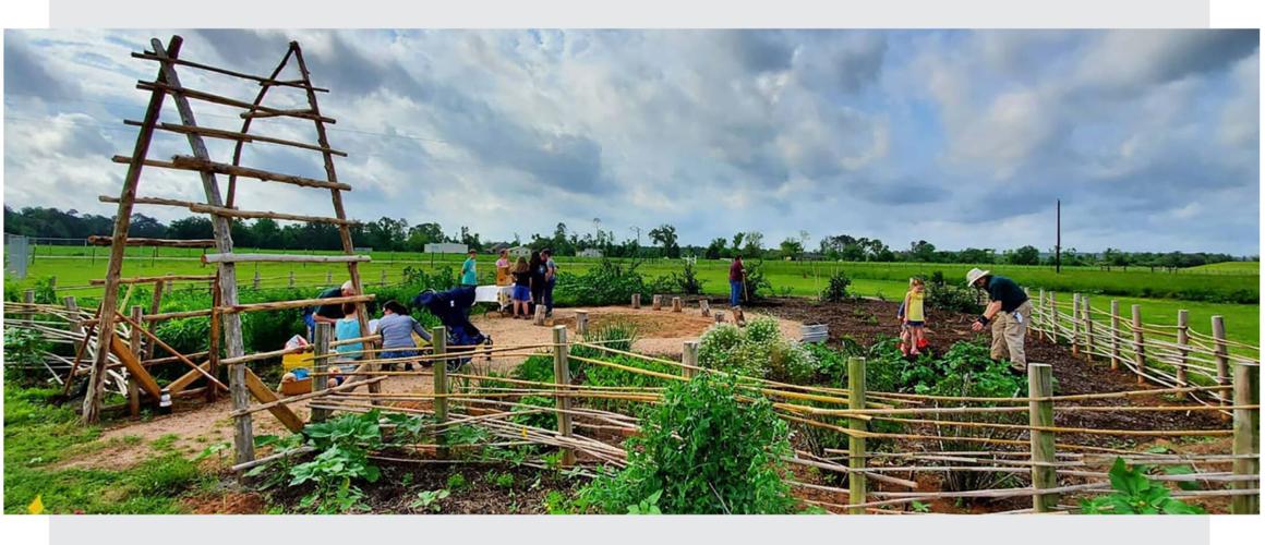 Mounds of History: How the Caddo Indians left a lasting mark on East ...