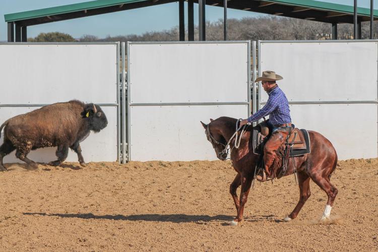 A Cut Above: Champion Bubba Matlock: $1 Million Dollar Rider | Features ...