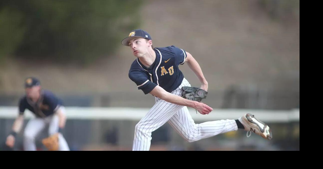 Averett baseball opens ODAC play with pair of losses to Hampden-Sydney ...