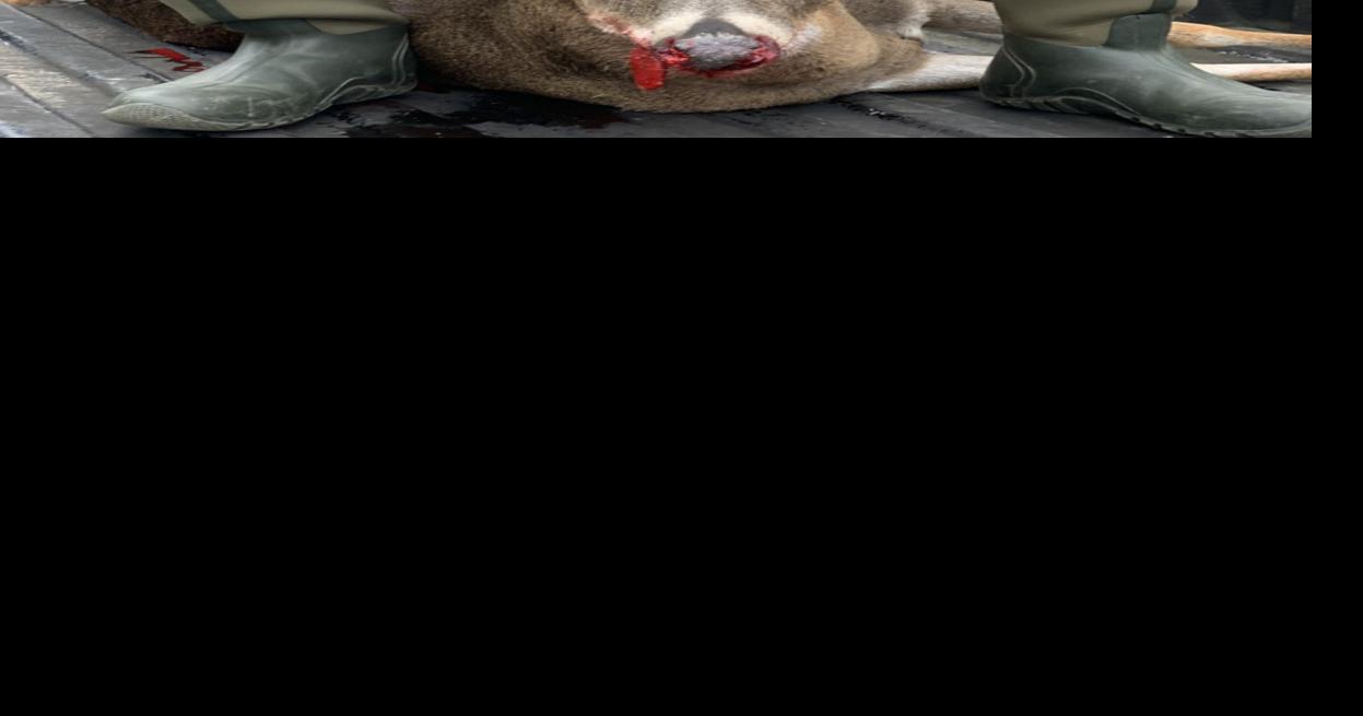 Florida man bags 17-point buck in Pittsylvania County | Sports ...