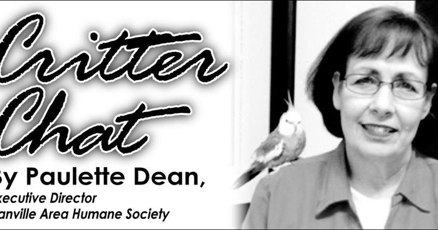 Critter Chat by Paulette Dean, executive director of Danville Area ...