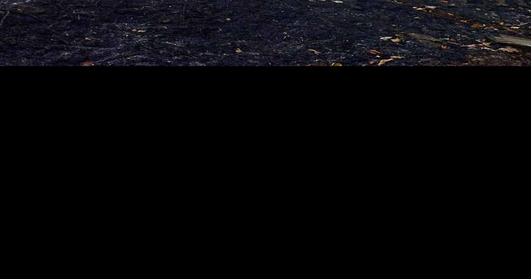 Quaker Run Fire | | chathamstartribune.com