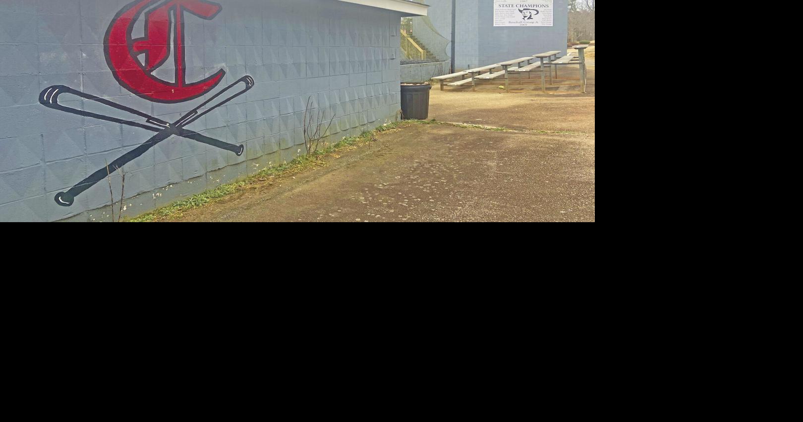 Chatham baseball remains undefeated | Sports | chathamstartribune.com