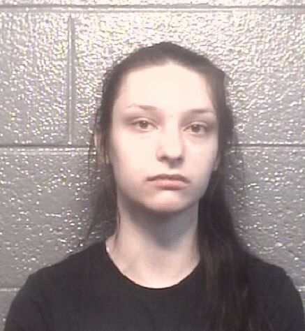 Animal cruelty complaint leads to arrest | News | chathamstartribune.com