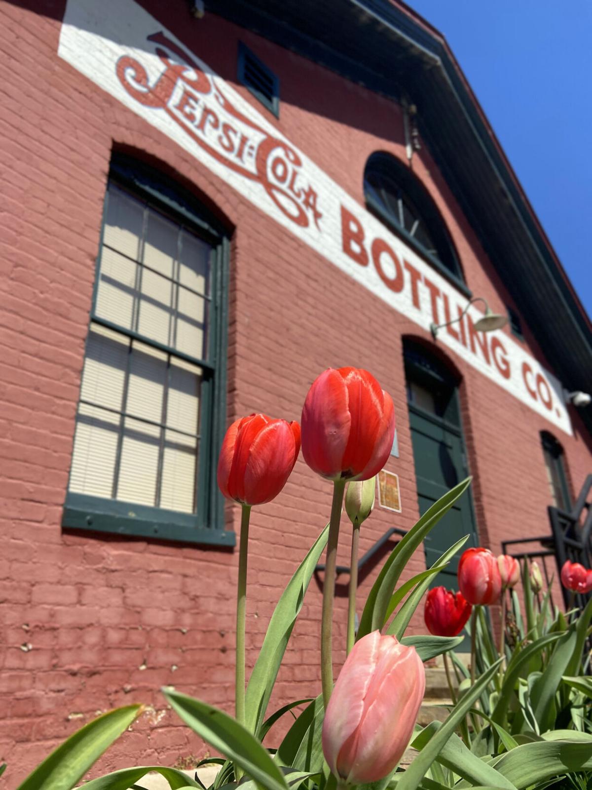 Historic Pepsi Building a versatile utility for over 80 years | News ...