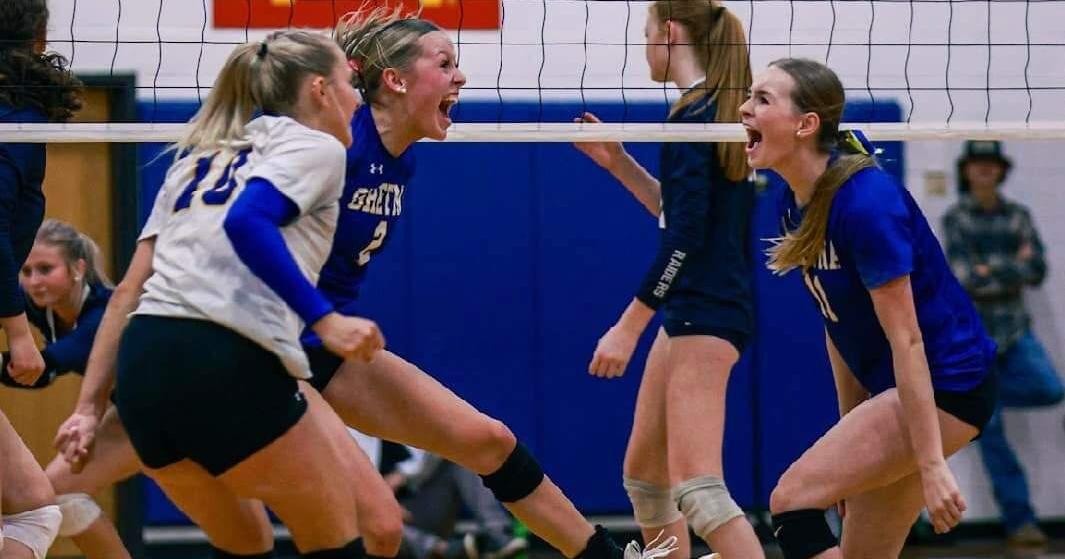 Lady Hawks volleyball continues to soar | Sports | chathamstartribune.com