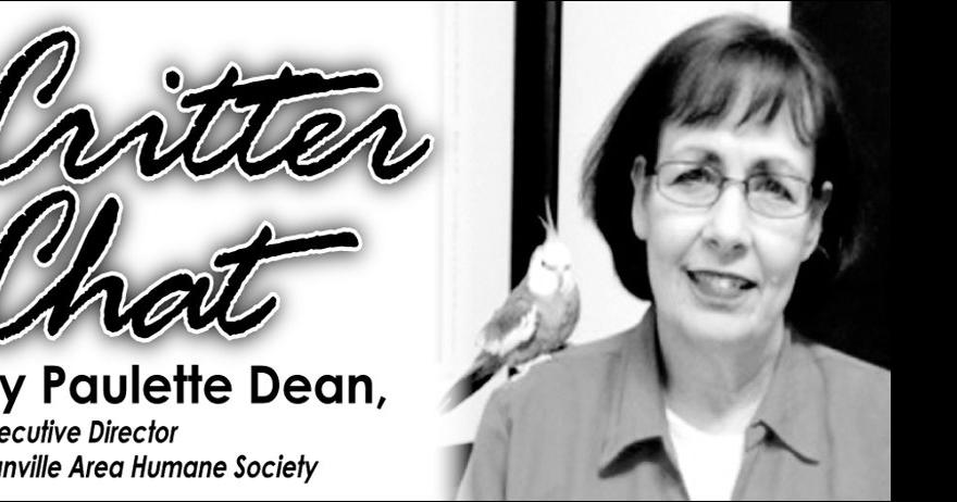 Critter Chat | Opinion | chathamstartribune.com