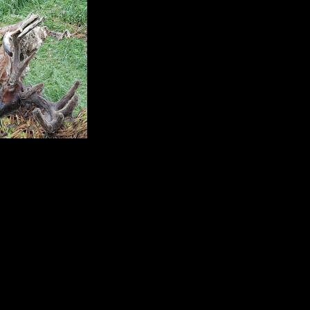 Richland County Man Faces Jail, $27,417 Fines for Poaching Deer | Free ...